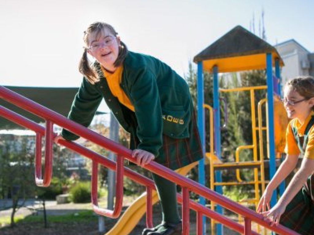 Education Submissions – Down Syndrome QLD